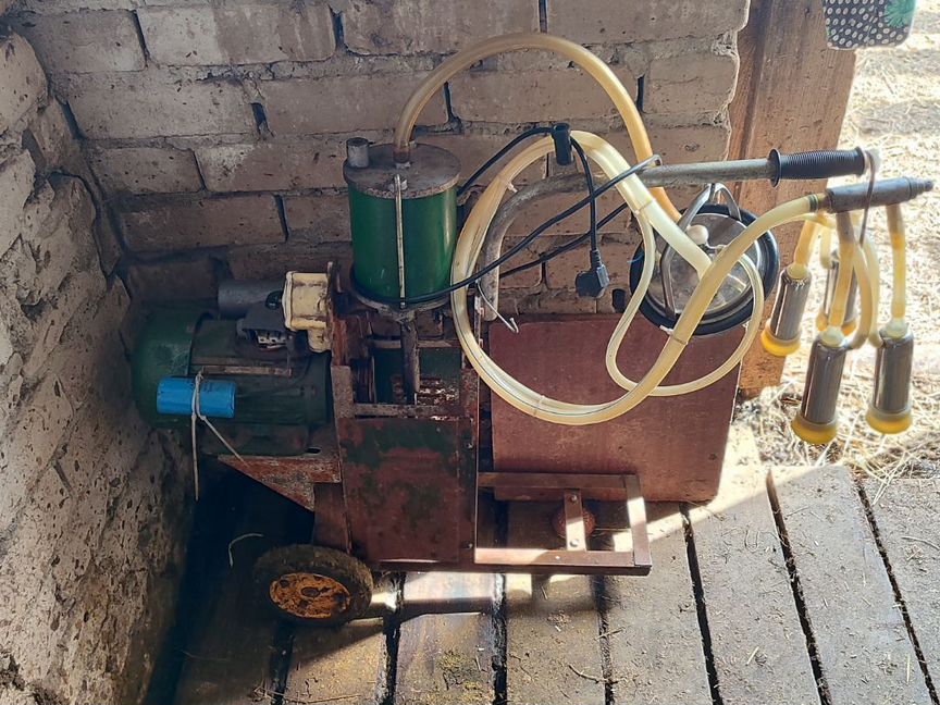 Доильный апарат Всё рабочее