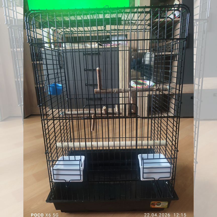 Товары для животных