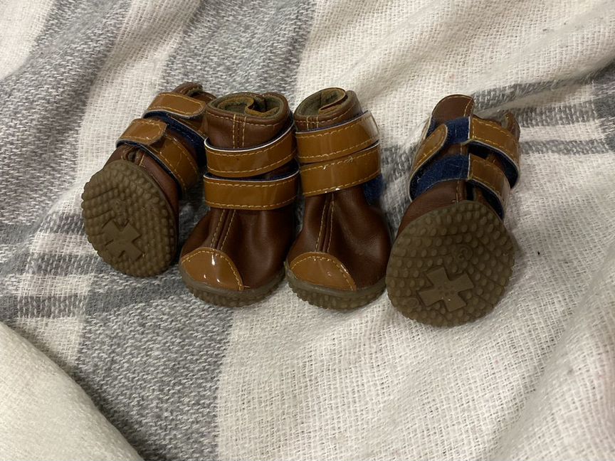 Ботинки для маленьких собак