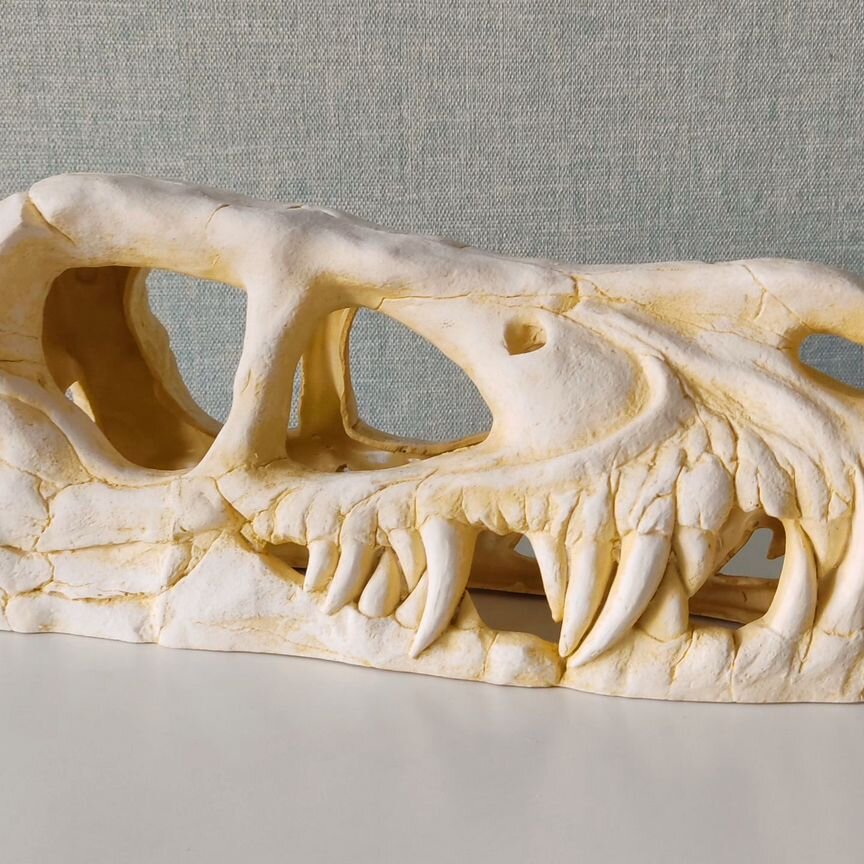 Череп для террариума