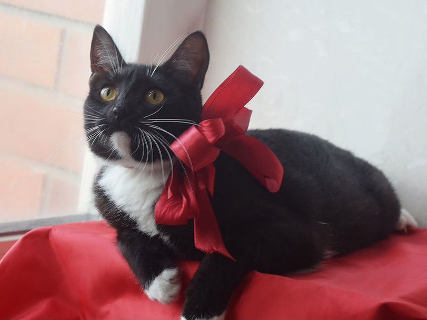 Красотка в белых носочках ждёт маму