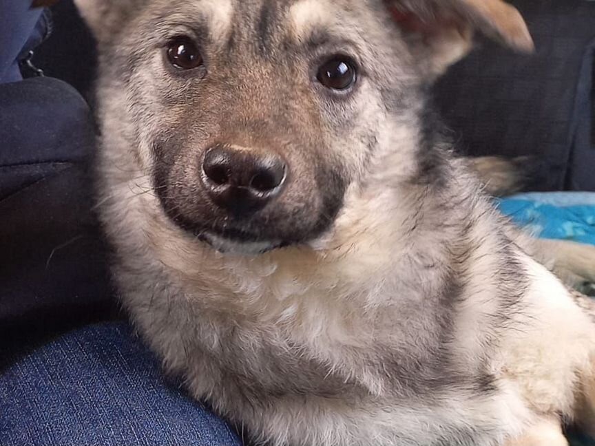 Девчуля 8 мес