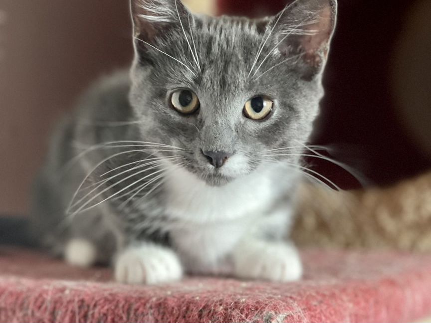 Сережка 3 месяца