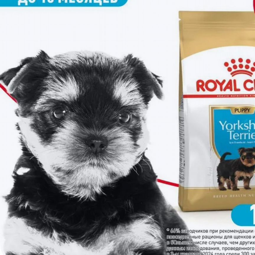 Корм royal canin для йорков