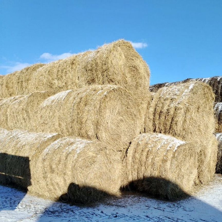 Салома пшеничная -200 кг