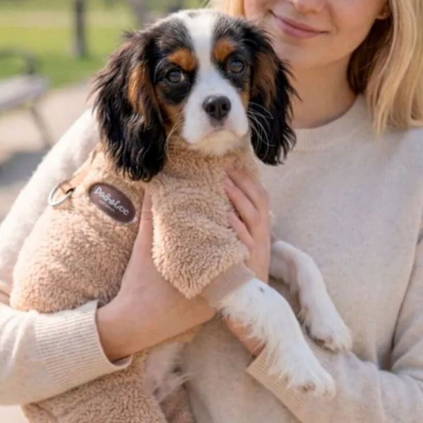 Куртка - комбинезон плюшевый для собак и кошек