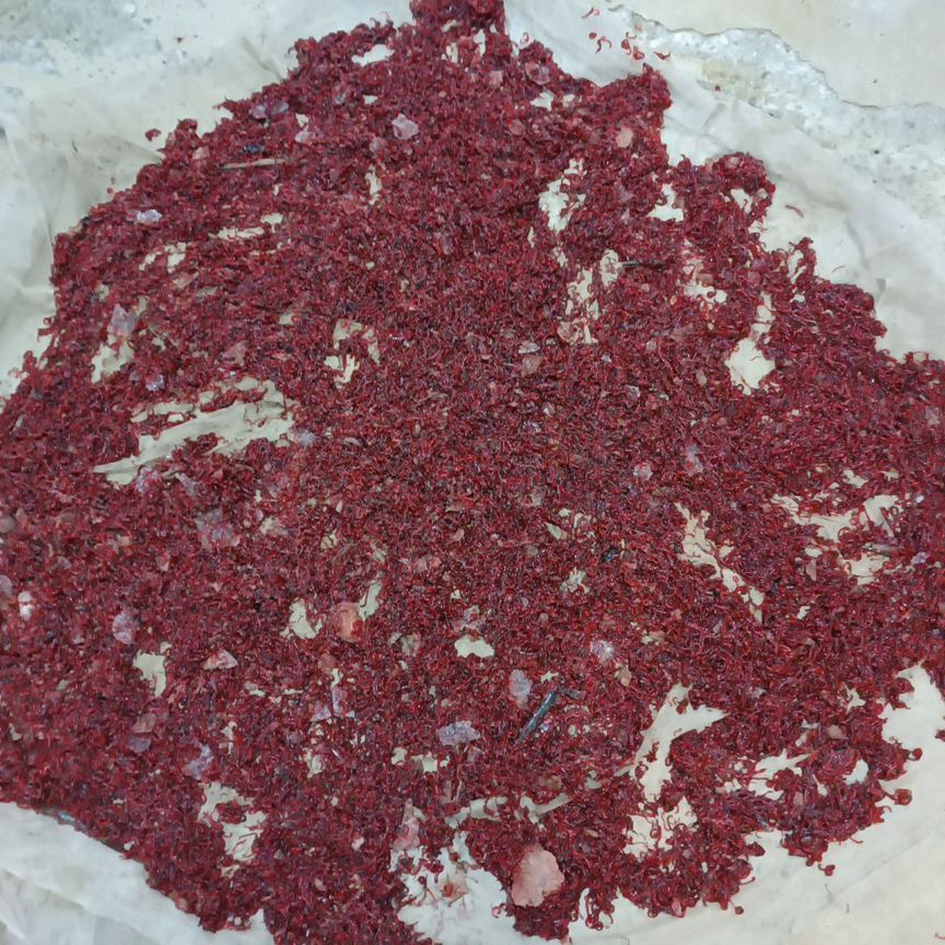 Мотыль живой крупный