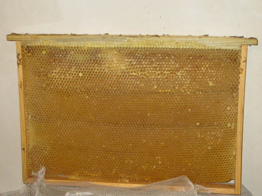 Рамки с сотами(сушь)