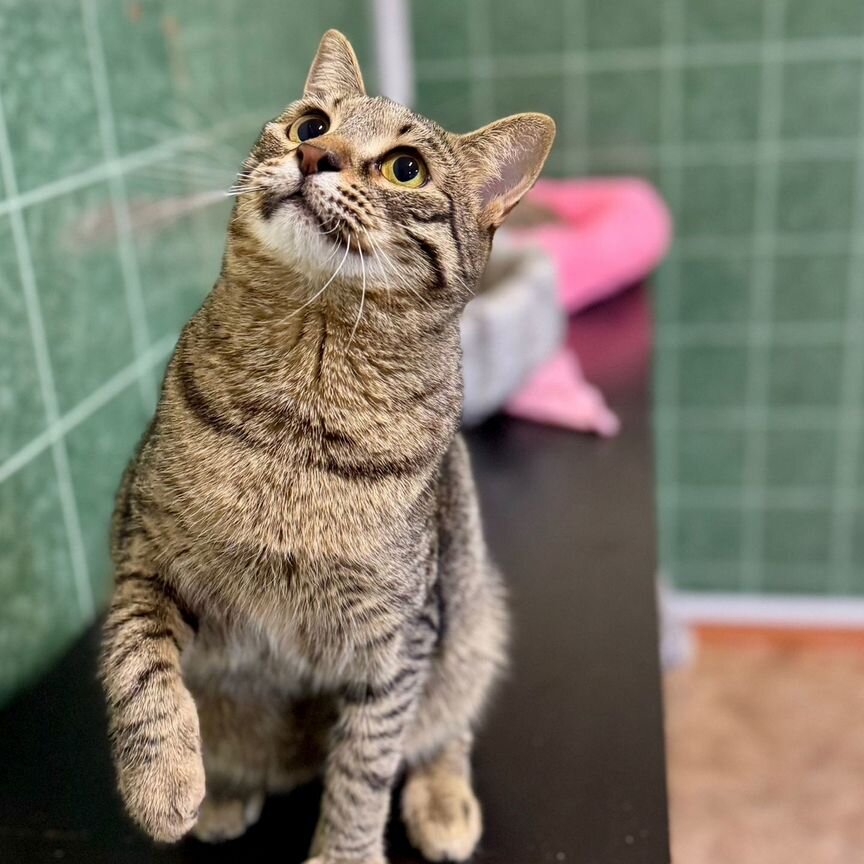 Любаша-улыбаша ждет свою семью