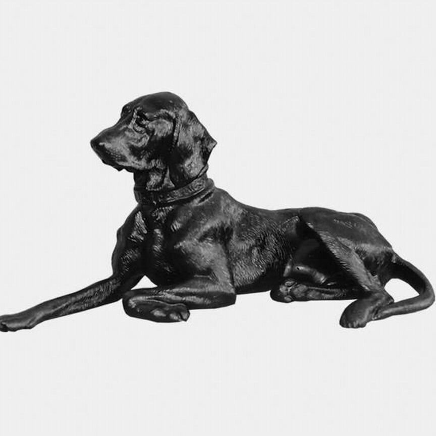 Английский пойнтер, взрослый пёс