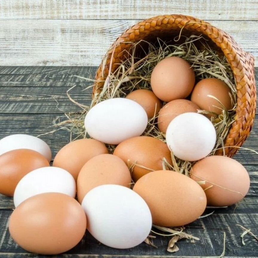 Домашние куриные яйца