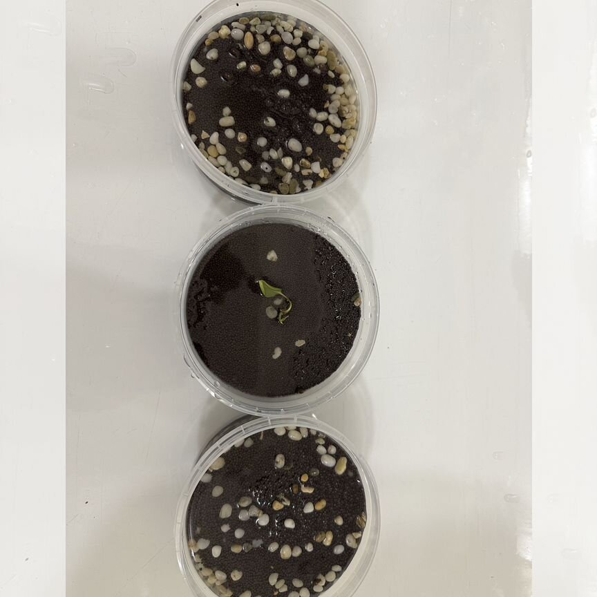 Грунт для аквариума