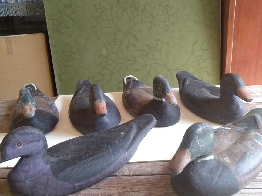 Подсадные уточки для охоты