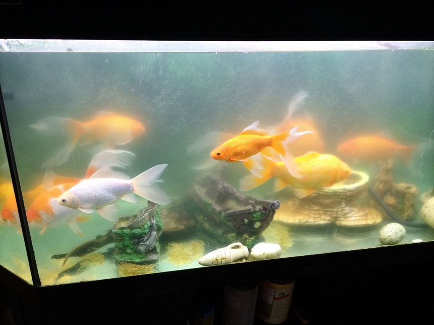 Украшение для аквариума