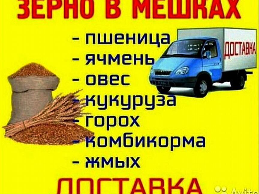 Зерно пшеница ячмень кукуруза овёс