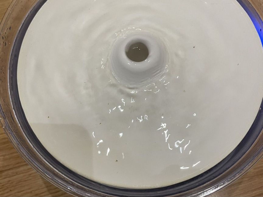 Фонтанчик для кошек