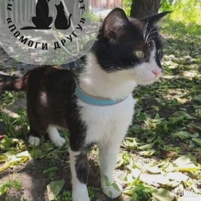 Арсений с зоны сво ждет свою семью