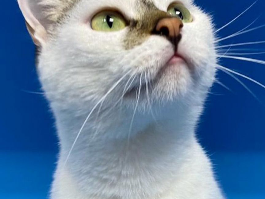 И такую красоту тоже выкинули