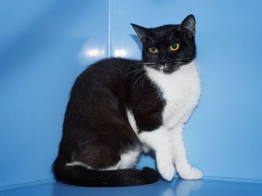 Николь не верит, что её выберут