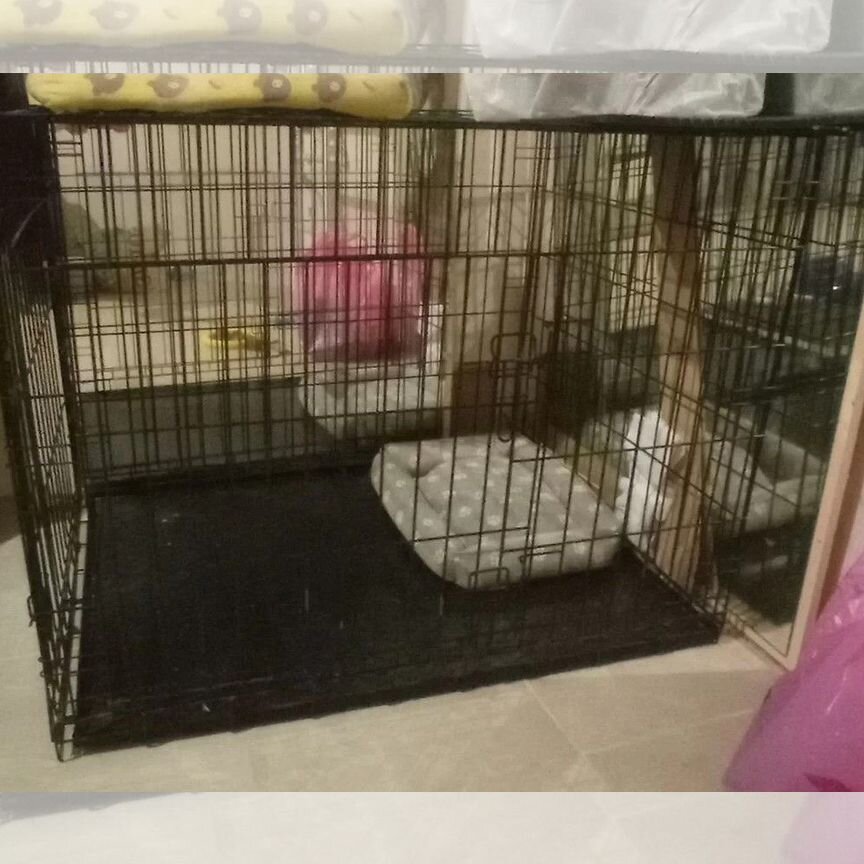 Клетка для животных бу