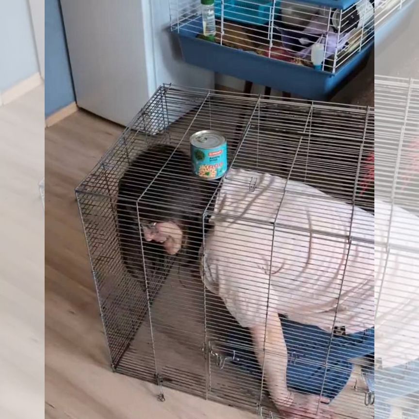 Клетка для грызунов большая Данко-зоо