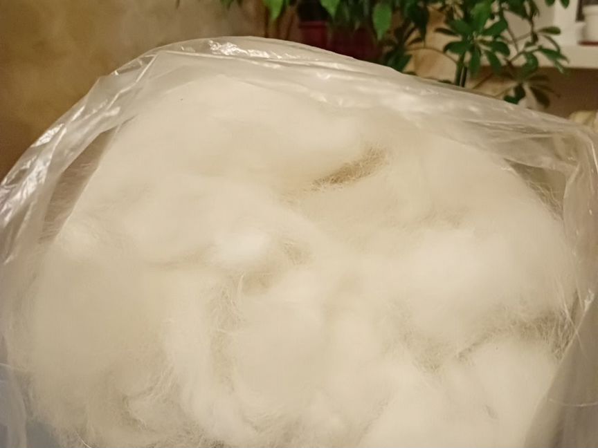 Пух самоеда