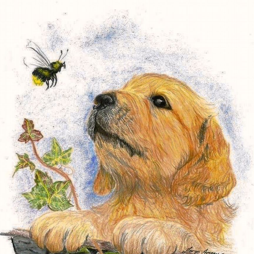 Рисую ваших питомцев