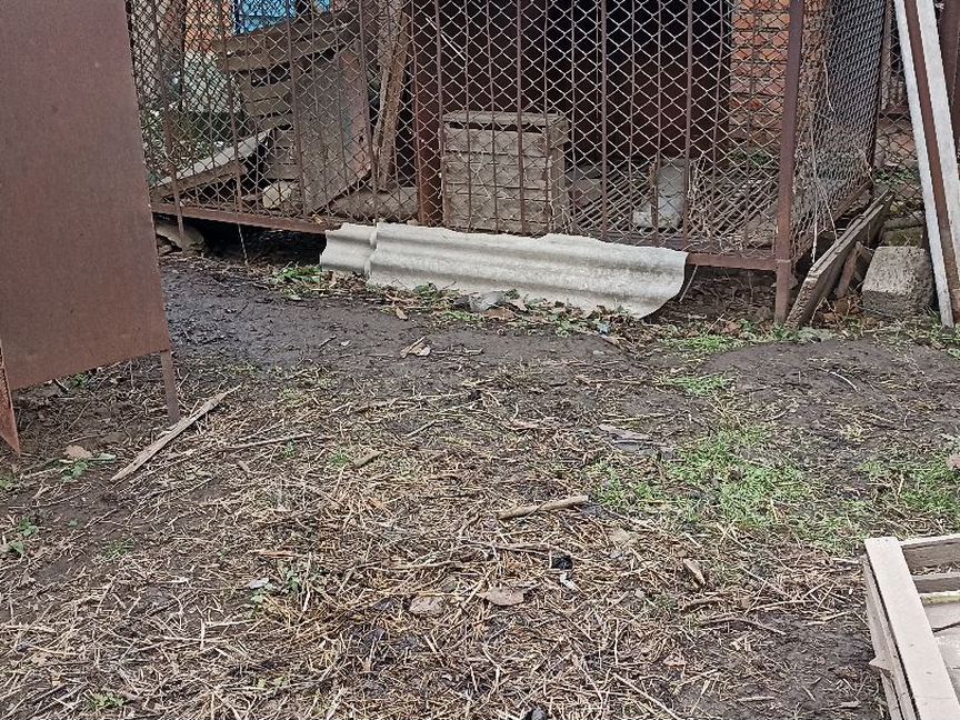 Клетка для животных бу