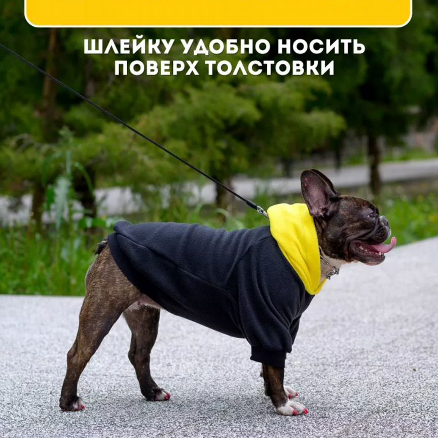 Вещи для собаки