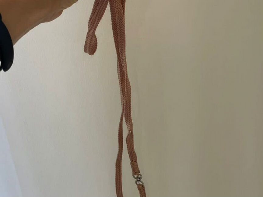 Ринговка для маленьких собак