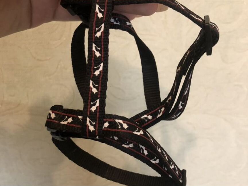 Ошейник для кошек