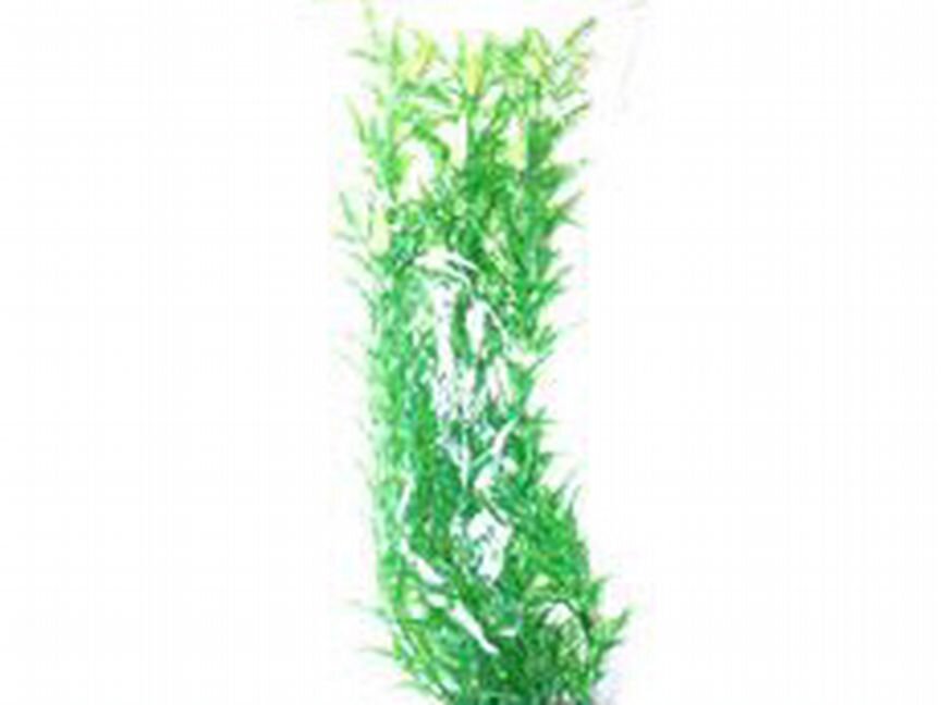 Растение Тритон пластмассовое 29 см 2989