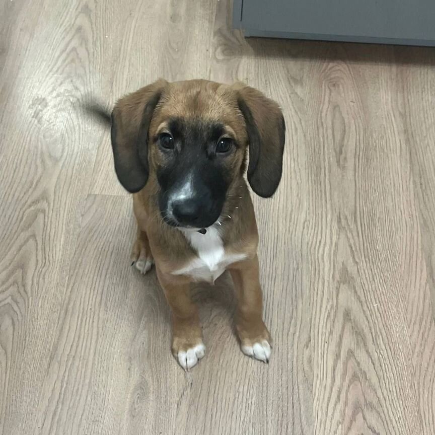 Спасите девочку 5 месяцеа