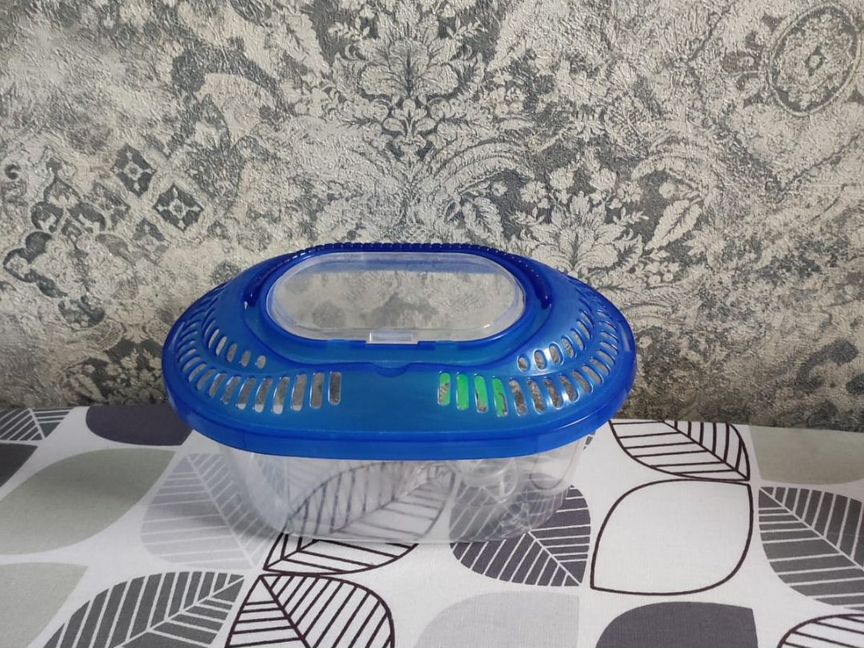 Аквариум черепашник