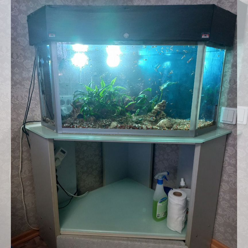 Аквариум