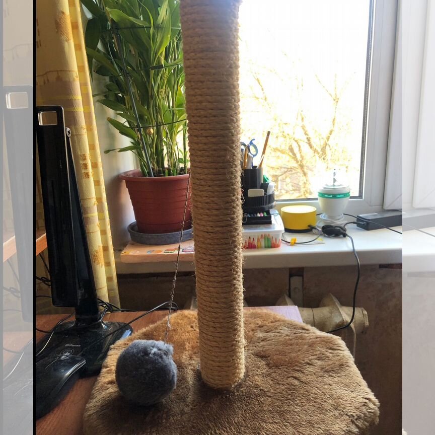 Когтеточка для кошек