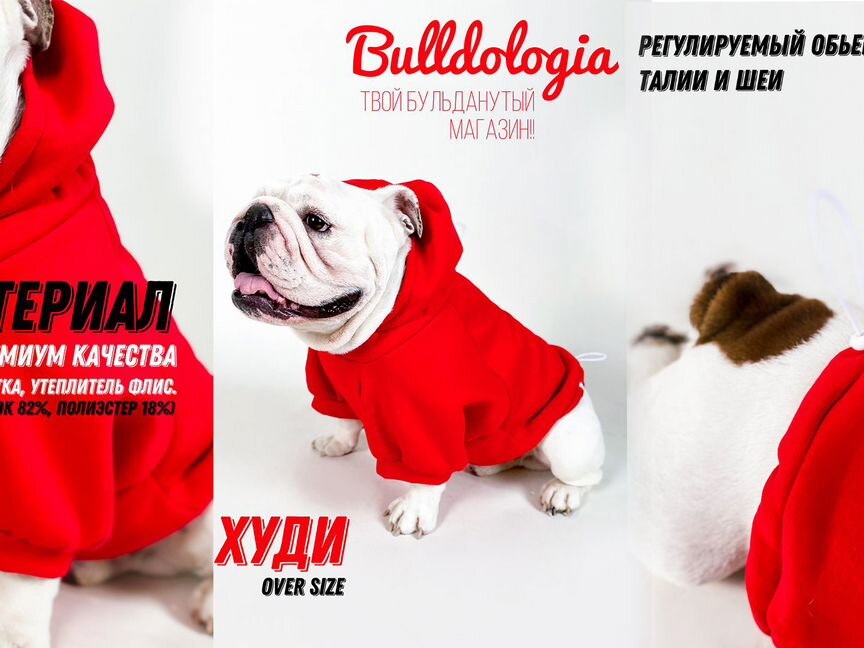 Худи для Бульдога красная одежда для собак