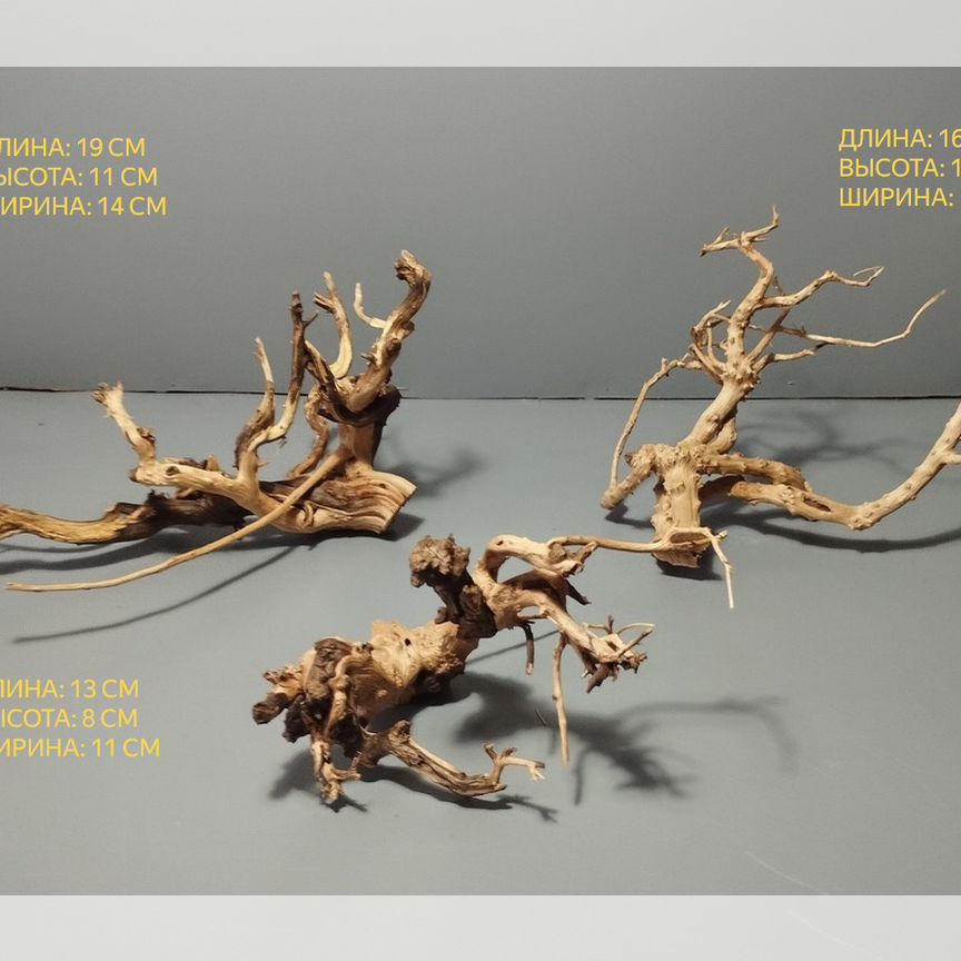 Изящные коряжки, набор 3 шт