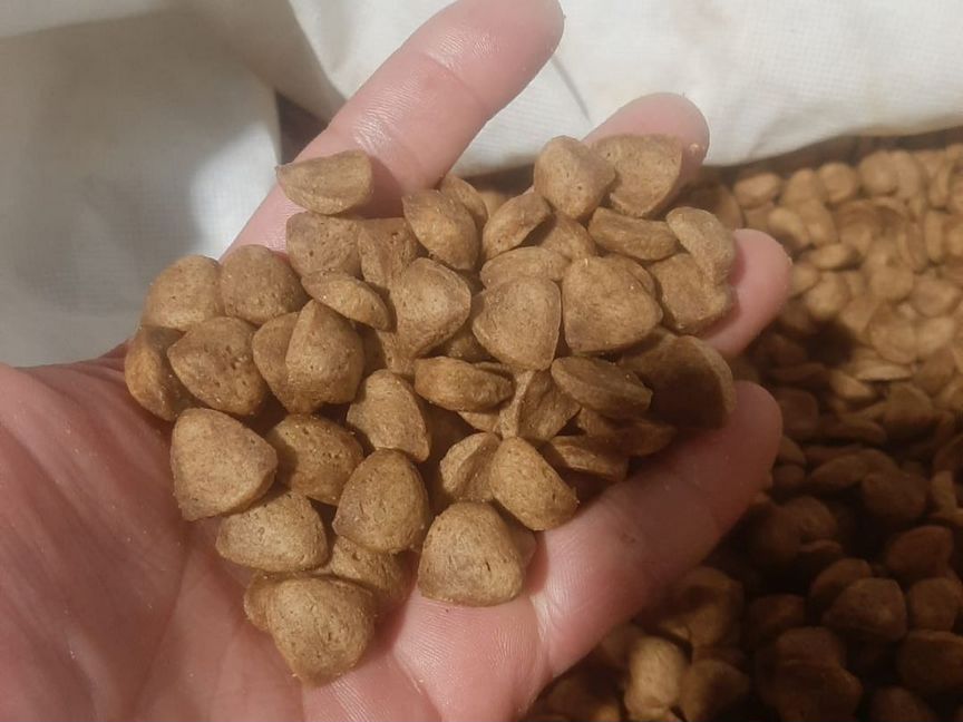 Сухой корм для кошек и собак