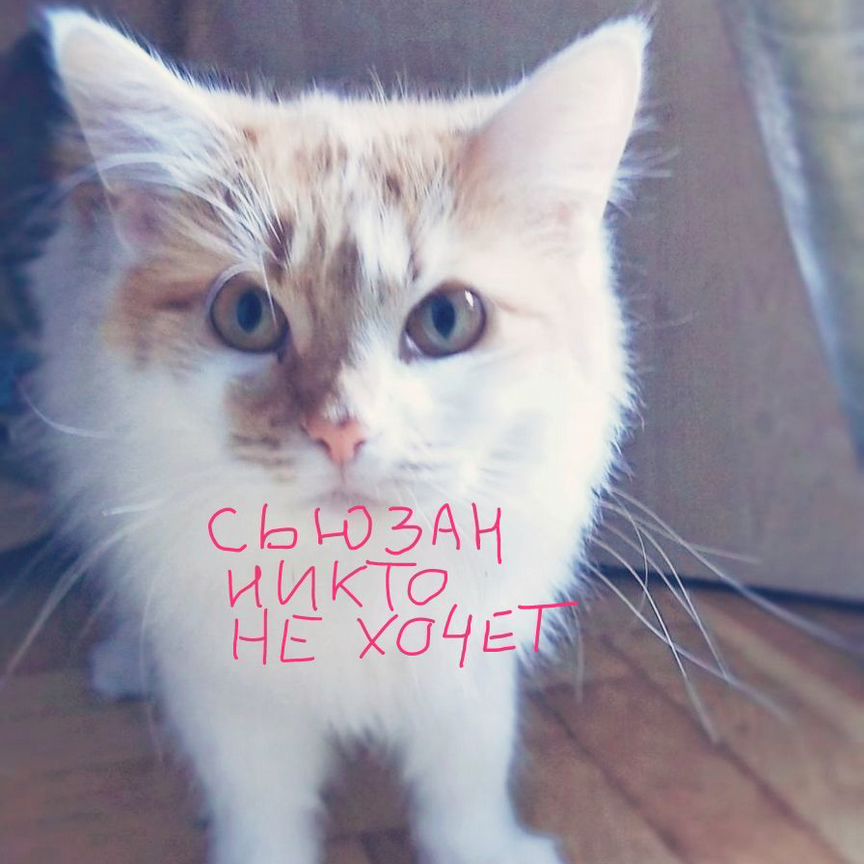 Бросили на промокод судьбы