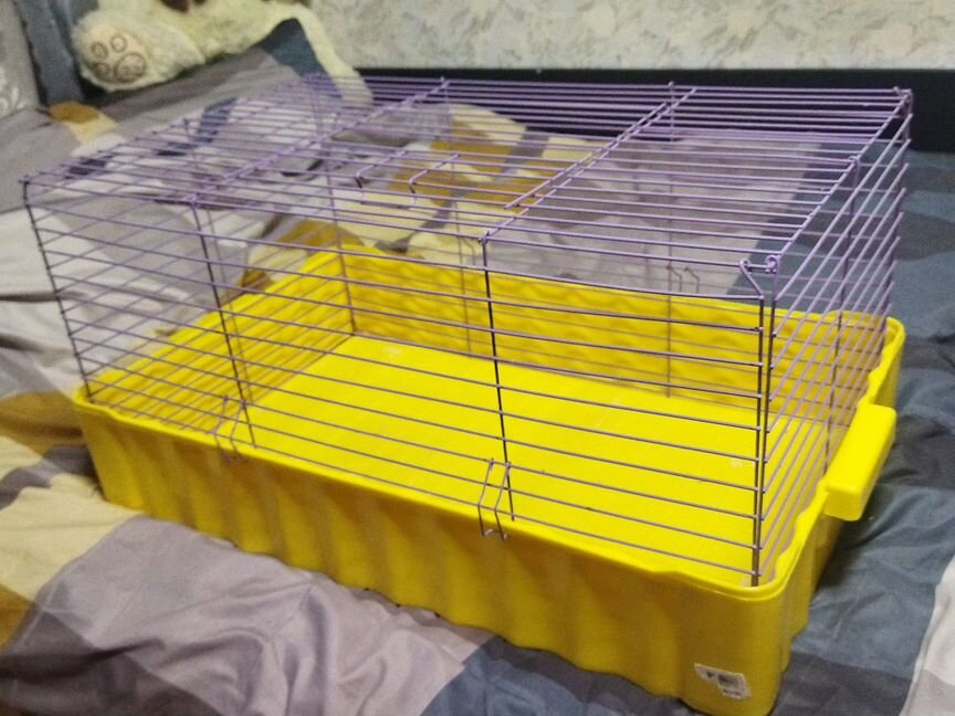 Продам клетку