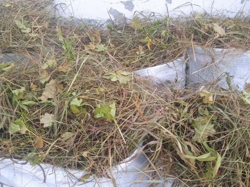 Сено в мешках