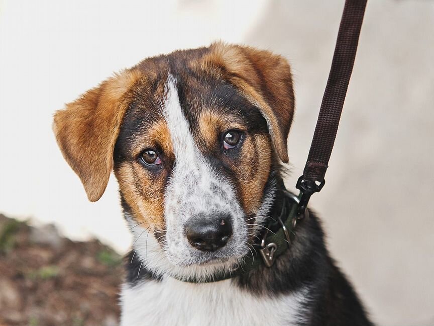 Мальчик 4,5 мес из подвала Дагестана