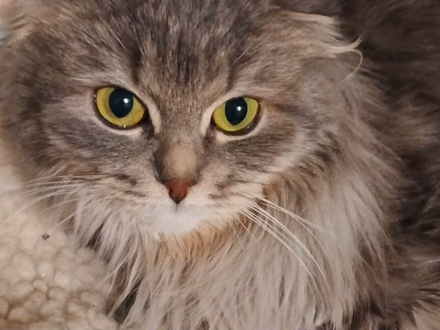 Оливия 15мес из Приюта ищет маму