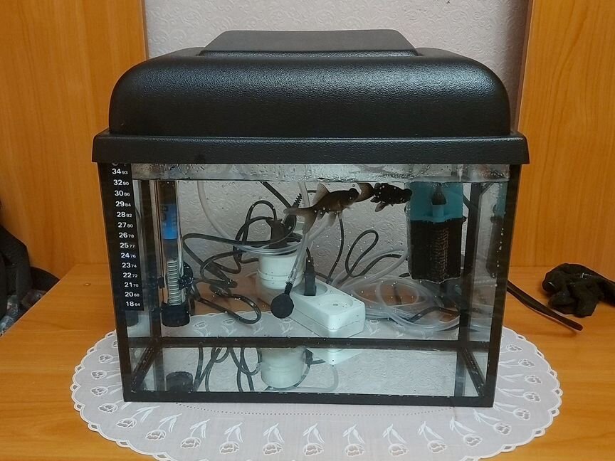 Аквариум вы место 2 риба 1 филтир 1 компрессор