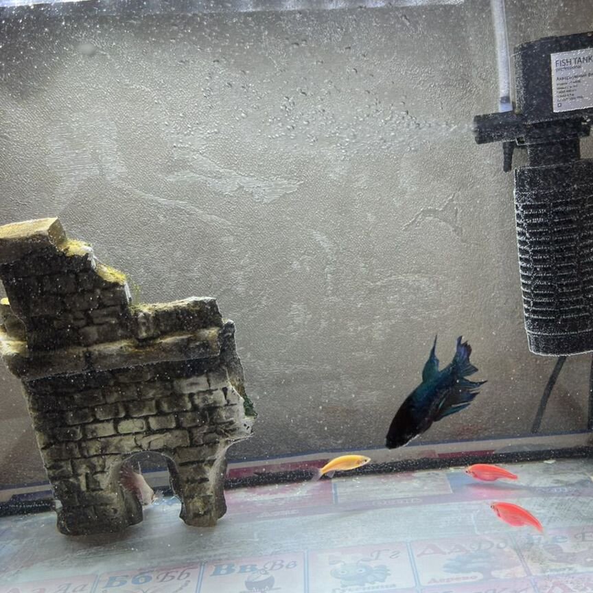 Аквариум с рыбками