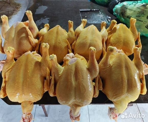 Куры бройлеры тушки мясо купить в Москве | Товары для дома и дачи | Авито