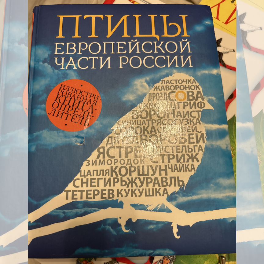 Птицы европейской части России