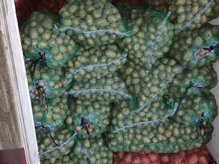 Картофель на корм скоту