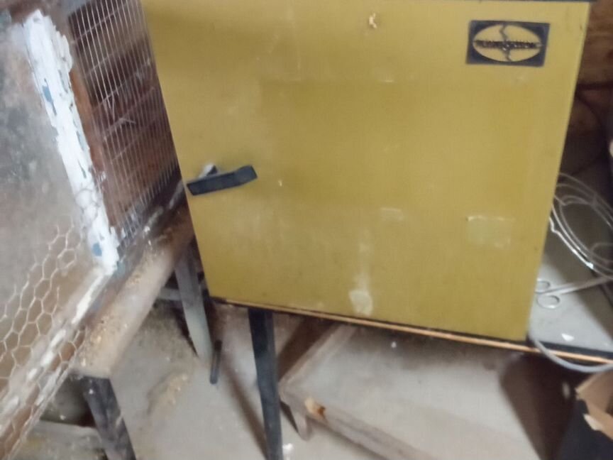 Инкубатор для яиц автоматический бу